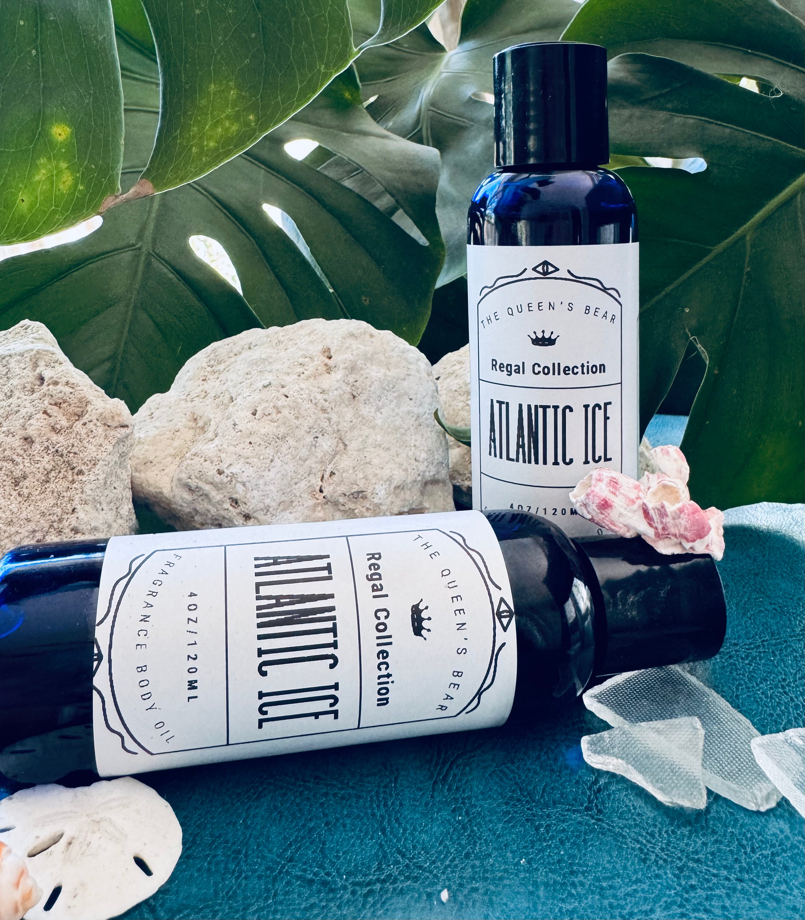 The Regal Collection " Atlantic Ice " – The Queen’s Bear